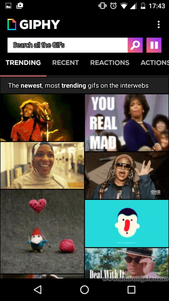 Descargar GIF imágenes para WhatsApp en Giphy • Android Jefe